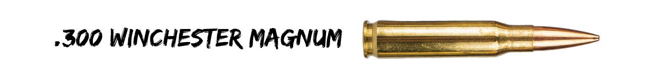 A Guide To Tactical Rifle Cartridges | The Primary Source